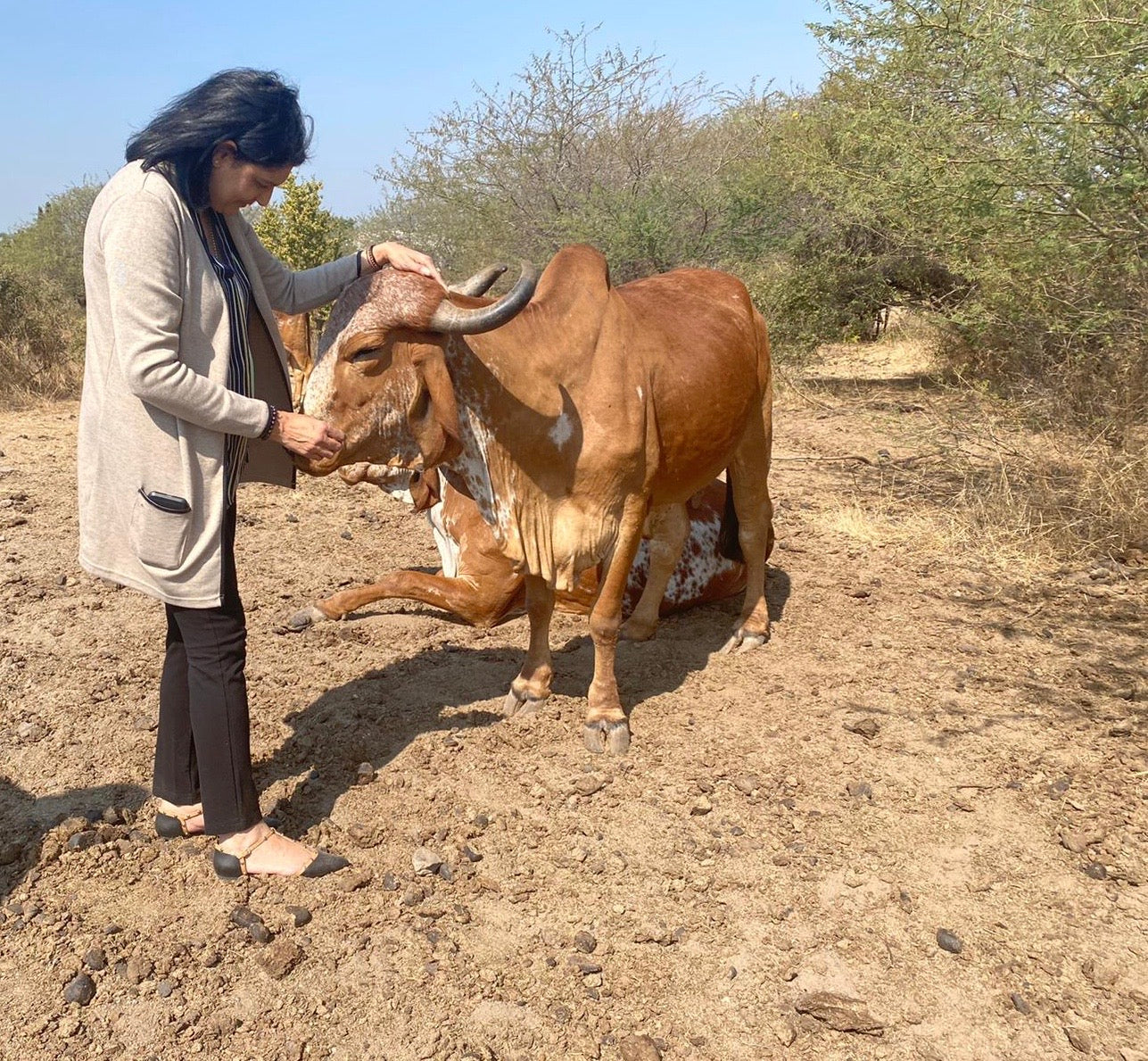 Rejuvenation Products and Ancient Health Remedies | PIOR Living