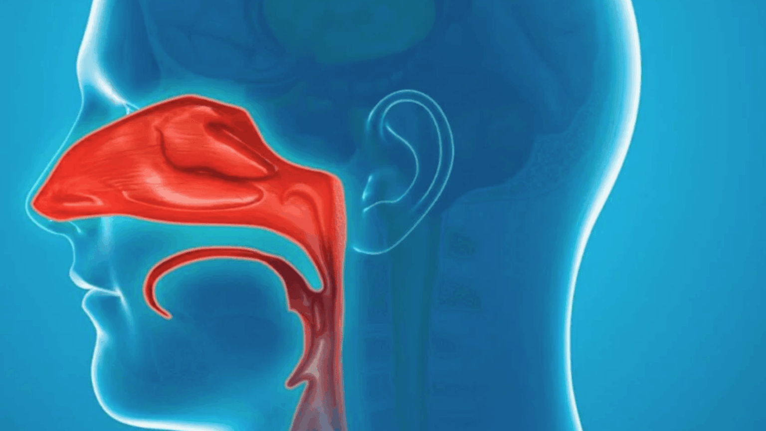 Why Your Nose Runs During Exercise and How to Fix It - Piorliving