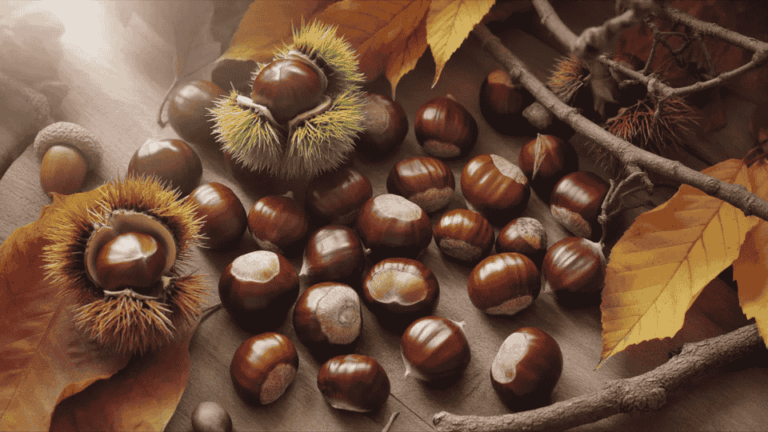 17 Nuts High in Potassium for Better Daily Health - Piorliving